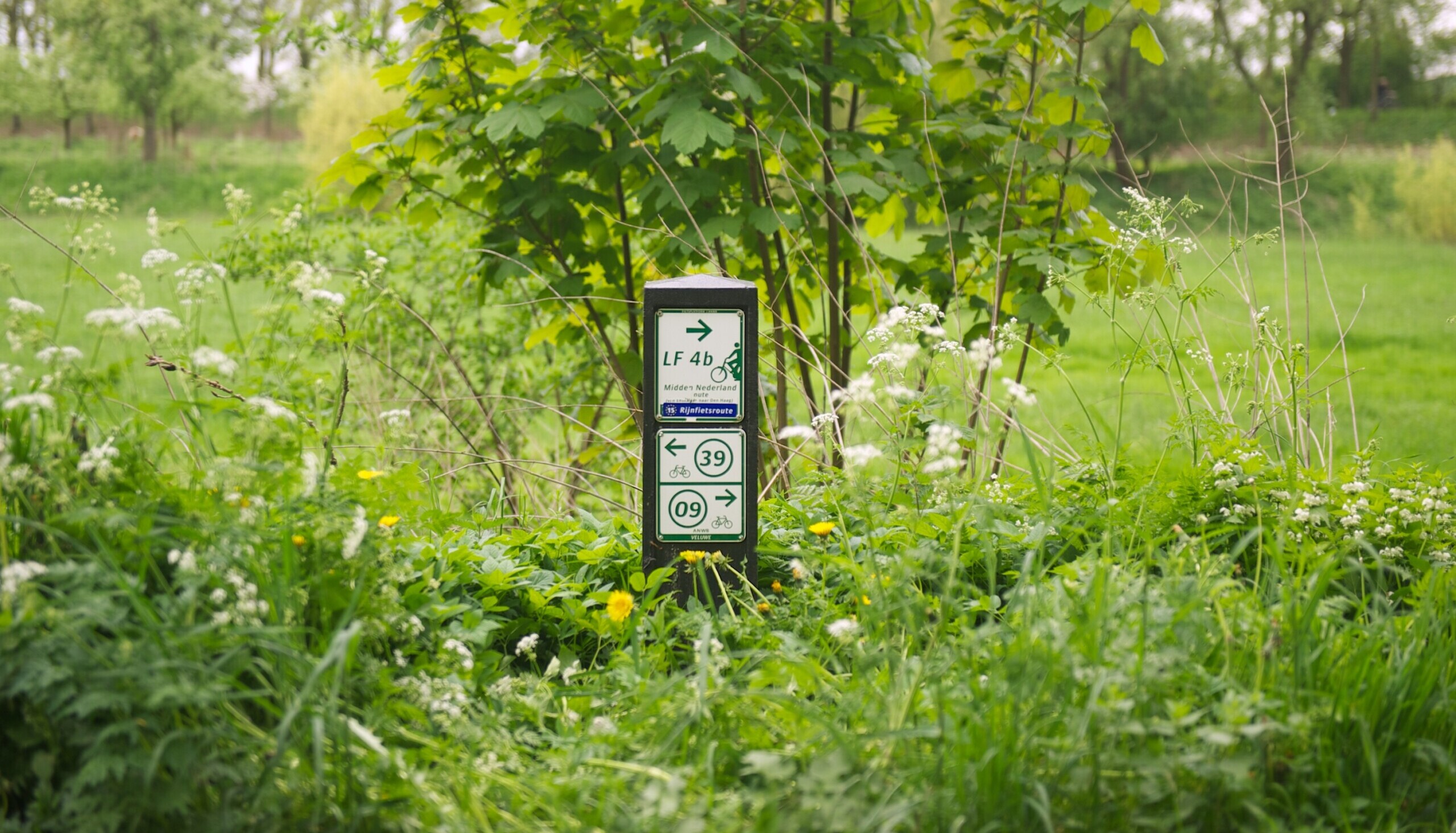 Hoe werken de knooppunten? - Nederland Fietsland