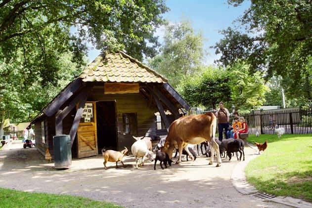 Center Parcs Het Meerdal - Nederland Fietsland