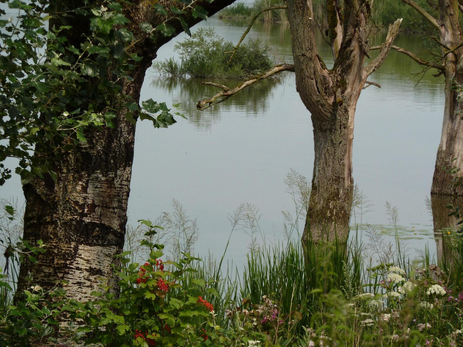 Natuurkampeerterrein De Knotwilg - Nederland Fietsland