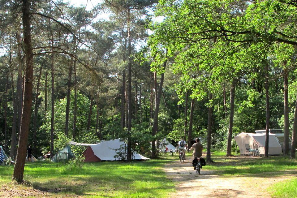 Bospark Langeloërduinen Norg - Nederland Fietsland