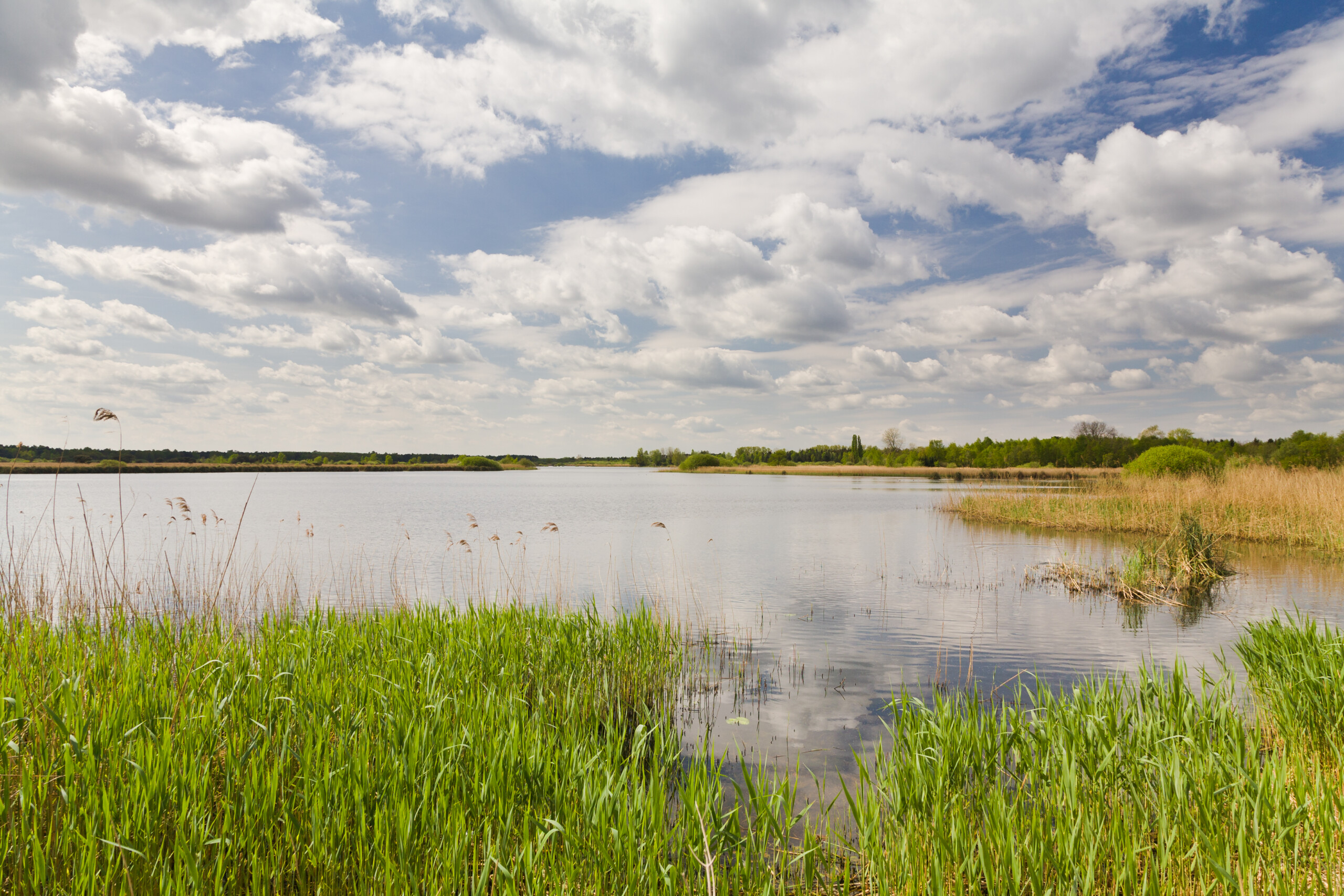 Een tocht net zo wispelturig als alle benamingen van de Maas ...